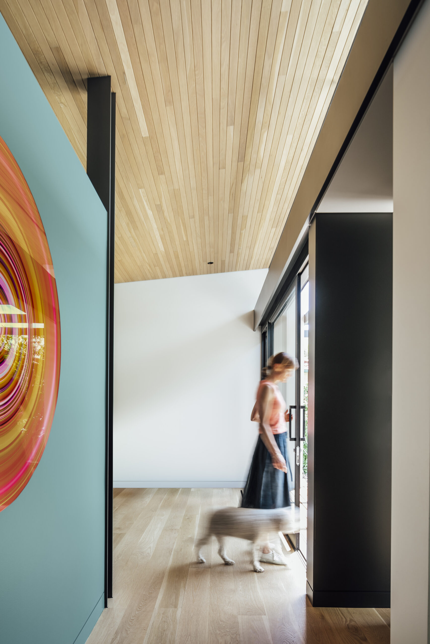 Butterfly House - Pleysier Perkins